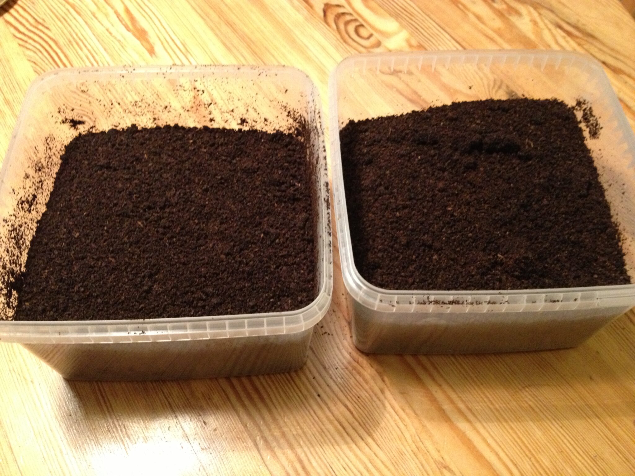 How to make snus – Make you own snus with raw tobacco (råtobak)